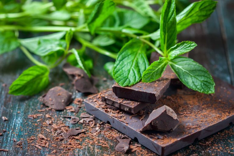 7 leckere Minze-Sorten vorgestellt