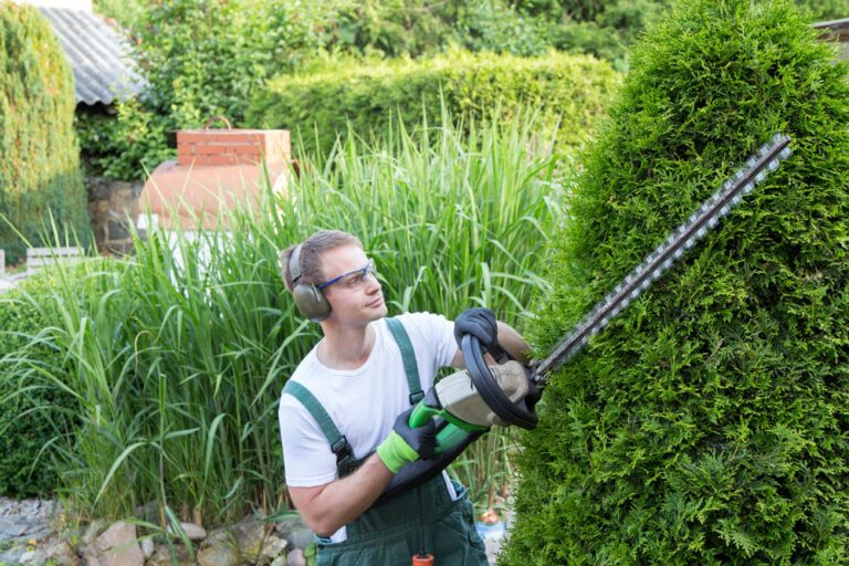 Heckenscheren: 4 verschiedene Modelle vorgestellt