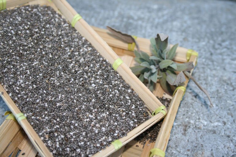 Chia selbst anbauen - So gelingt die Anzucht der Wunderpflanze
